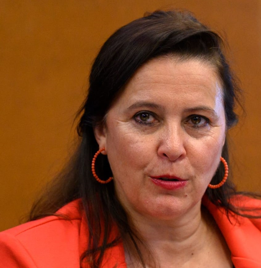 Ana Miranda: "El modelo económico detrás de Altri es retrógrado, ¿o no ...