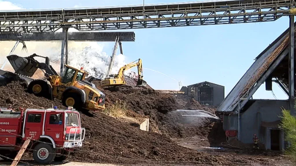 ¿Altri implica más eucaliptos? La Xunta lo niega pero expertos le ...