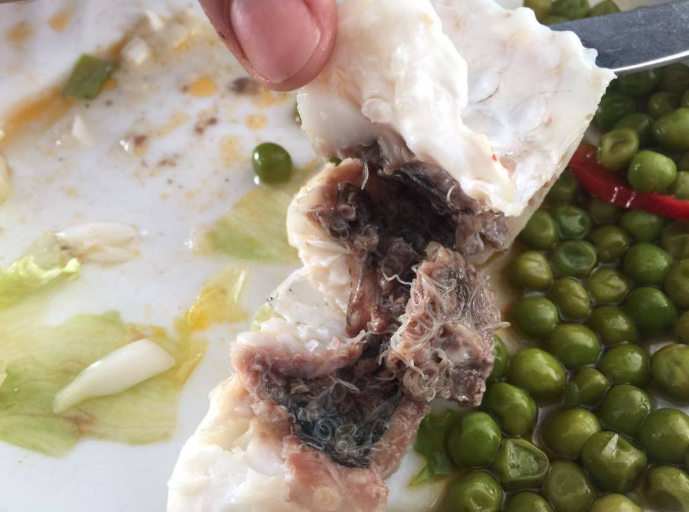 Raciones de merluza con anisakis en la escuela de la Armada en Ferrol